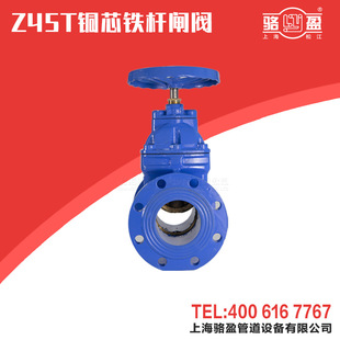 铜芯铁杆防护闸阀 Z45T暗杆人防硬密封闸阀 DN100消防阀门-阿里巴巴