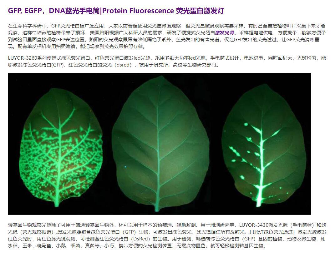 LUYOR-3260绿色红色荧光蛋白激发灯GFP, EGFP蓝光手电筒-阿里巴巴