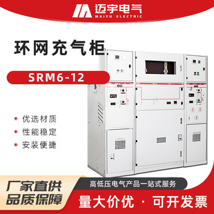 SRM6-12环网充气柜 10KV高压全绝缘充气柜六氟化硫开关环网柜-阿里巴巴