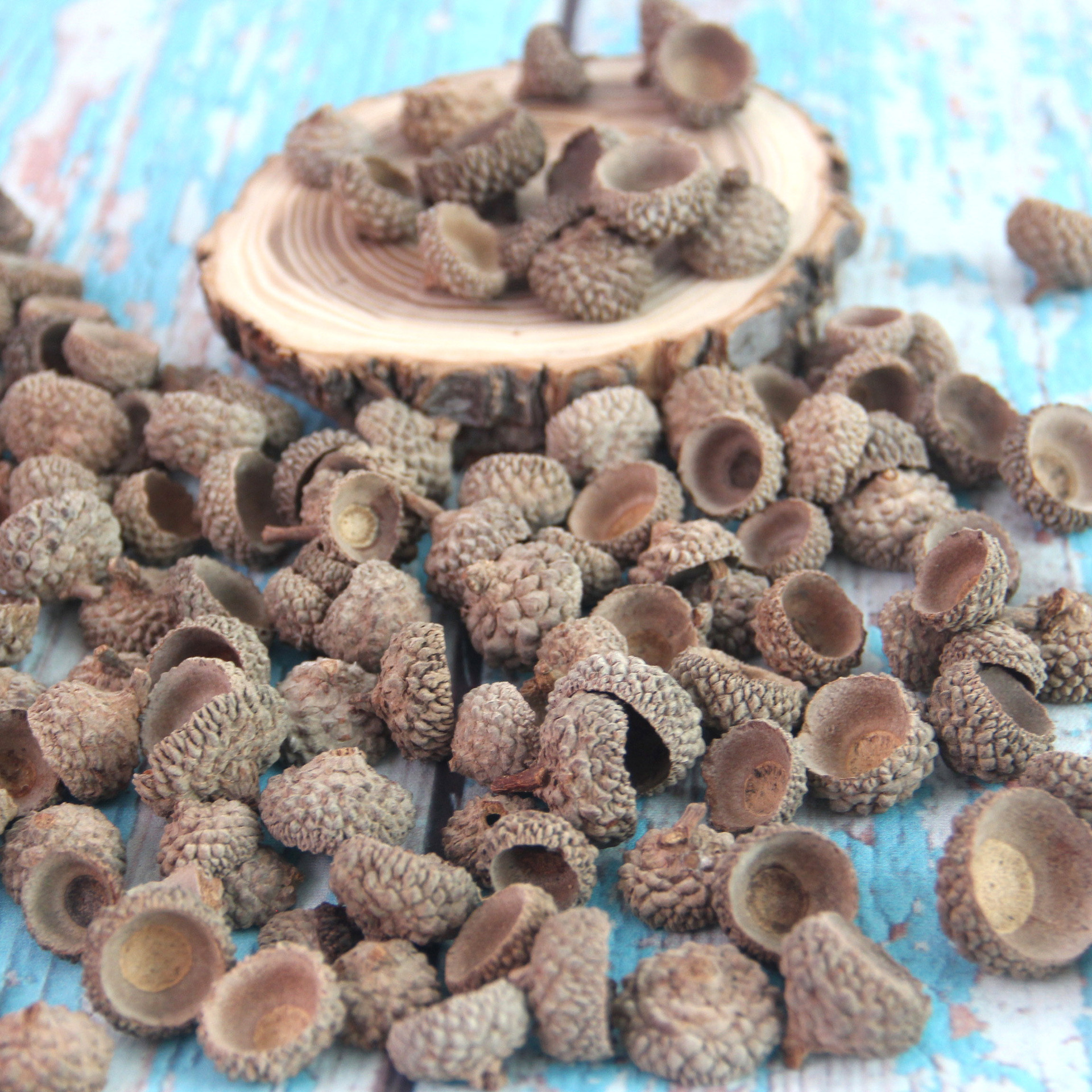 7WLO acorn shell fruit decoration diy handmade kindergarten ...