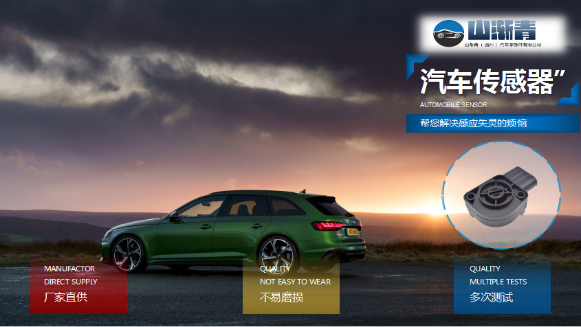 适用于斯康尼亚卡车 节气门传感器 OE:2603893C91,131973,133284-阿里巴巴