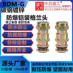 BDM-G防爆铠装碳钢电缆密封接头双密封填料函金属格兰头接头G3/4-阿里巴巴