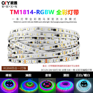 LED全彩TM1814 RGBW四合一幻彩灯带12V低压可编程2814跑马流水灯-阿里巴巴
