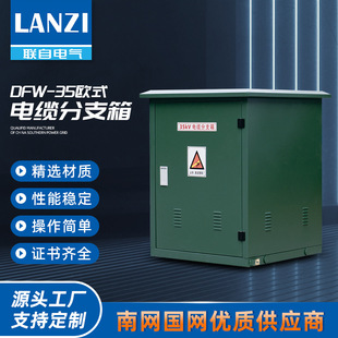 DFW-35欧式电缆分支箱 开闭环高压网柜铜排 35kv电缆分支箱-阿里巴巴