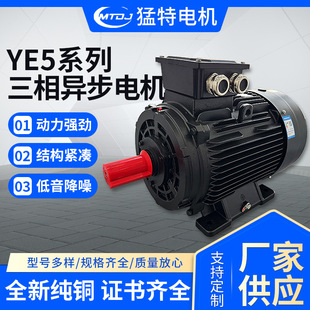 YE5一级能效电动机三相异步电动机2/4/6/8极高效纯铜交流电机-阿里巴巴