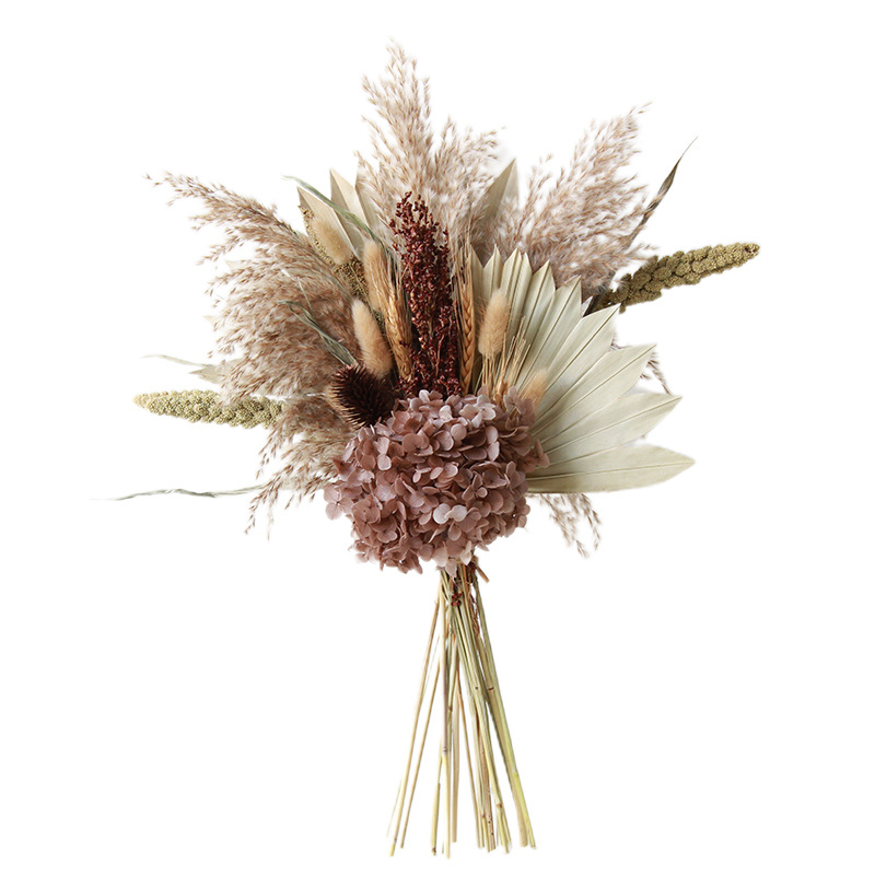 狂想者新品蒲扇柴芦混搭干花花束自然侘寂风家居装饰品插花摆件-阿里巴巴