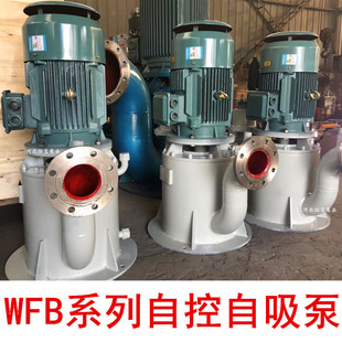 立式无密封自控自吸泵 65WFB 80WFB 100WFB 150WFB 200WFB 250WFB-阿里巴巴