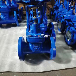 RRHX 铸钢软密封闸阀 Z41X-16C Z541X-16C 市政供水明杆弹性闸阀-阿里巴巴