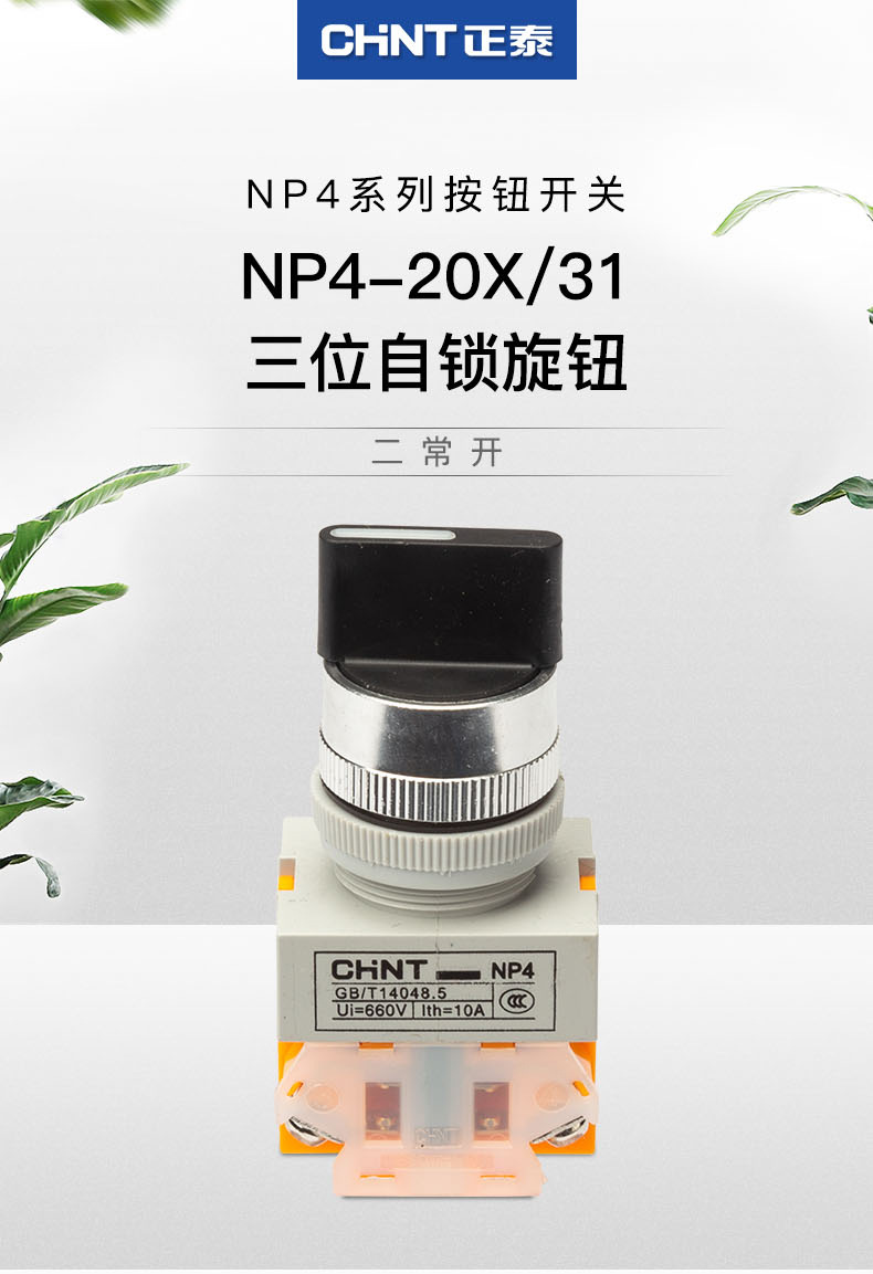  NP4 11X 21 20X 31 