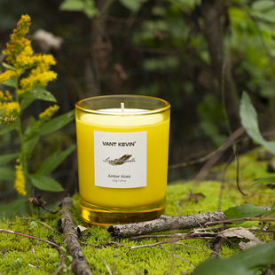 Vant Kevin蜡烛香薰卧室浪漫情调许愿香氛礼盒生日礼物结婚伴手礼-阿里巴巴