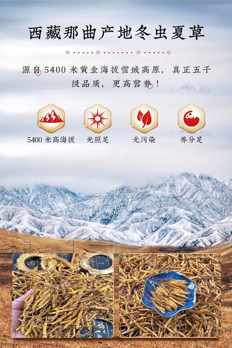 西藏那曲高海拔冬虫夏草虫草瓶装6根装虫草足干冬虫夏草10根虫草-阿里巴巴