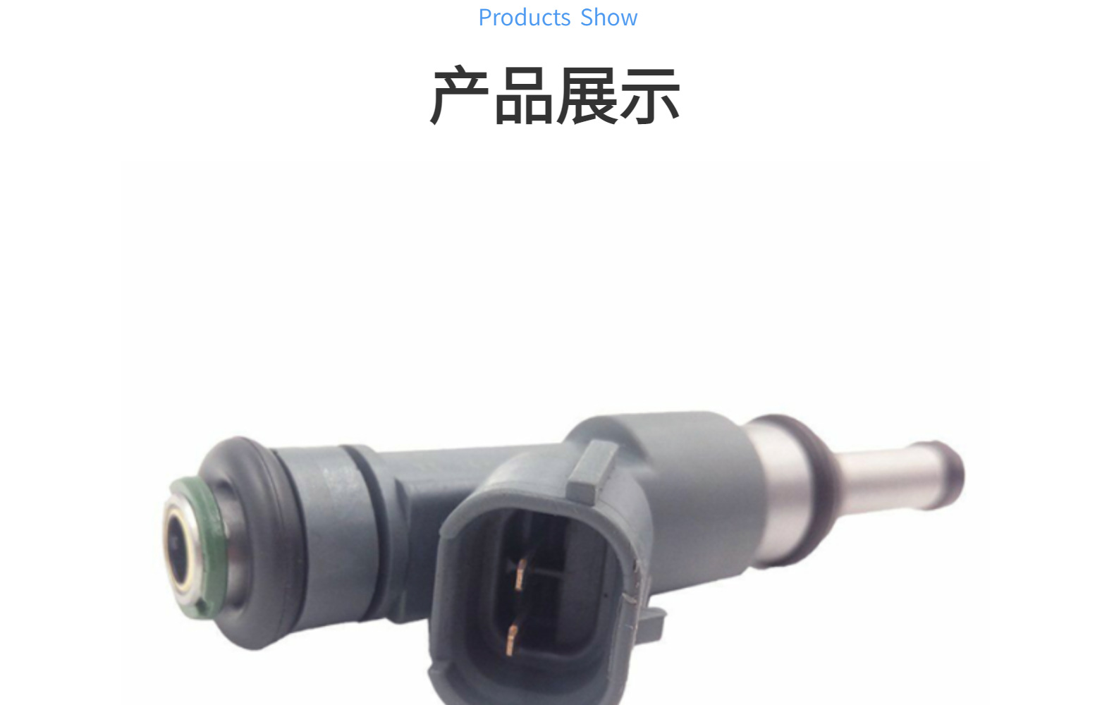 16600-EA00A适用于日产尼桑帕拉丁汽车喷油嘴喷油器喷射器油泵-阿里巴巴