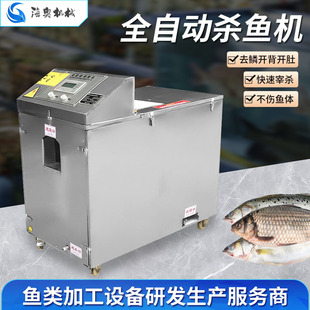 定制全自动杀鱼机 商用鱼类开肚机 不锈钢除磷开肚除内脏一体机-阿里巴巴