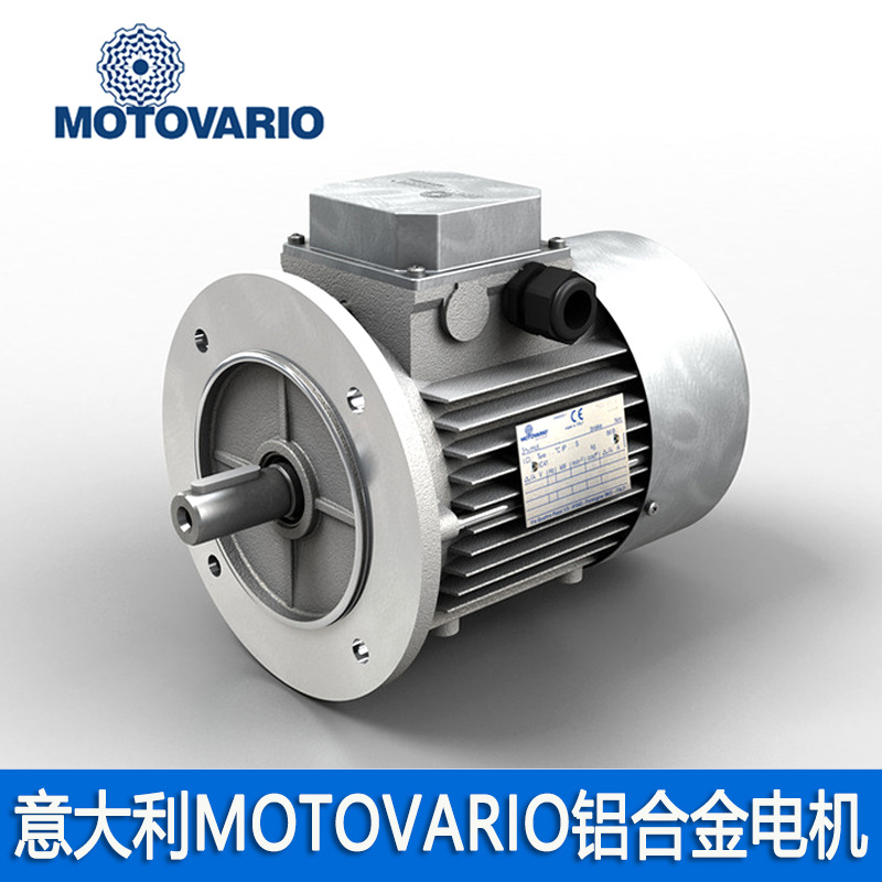 意大利铝合金电机MOTOVARIO马达TS71B4/TS80B4/TS90S4/TS90L4现货-阿里巴巴