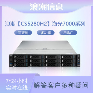 适用于浪潮【CS5280H2】2颗海光自主可控 机架式国产信创服务器-阿里巴巴