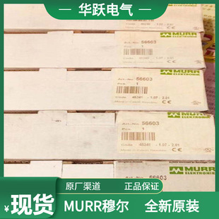 MURR穆尔 56601 56602 56603 56605模块全新正品现货可直拍-阿里巴巴