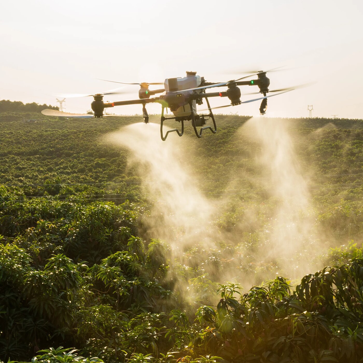 Original DJI Agras T50 Global Version Agricultural Spray Dro-阿里巴巴