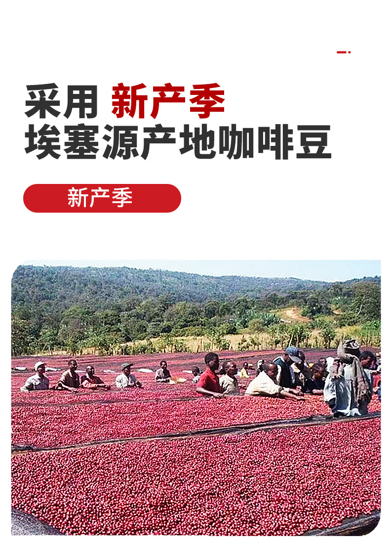 耶加雪菲G1水洗埃塞俄比亚新产季soe单品意式手冲咖啡豆可现磨粉-阿里巴巴
