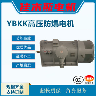 佳木斯电机YBKK隔爆型三项异步高压电动机6KV10KV高压防爆电机-阿里巴巴