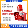 TGSG-01T工业声光报警器可调起重机叉车行车语音提示警报器220V-阿里巴巴