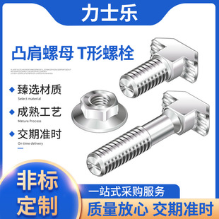 Rexroth力士乐 凸肩螺母T形螺栓 不锈钢型材螺栓M6 M8型材螺丝-阿里巴巴