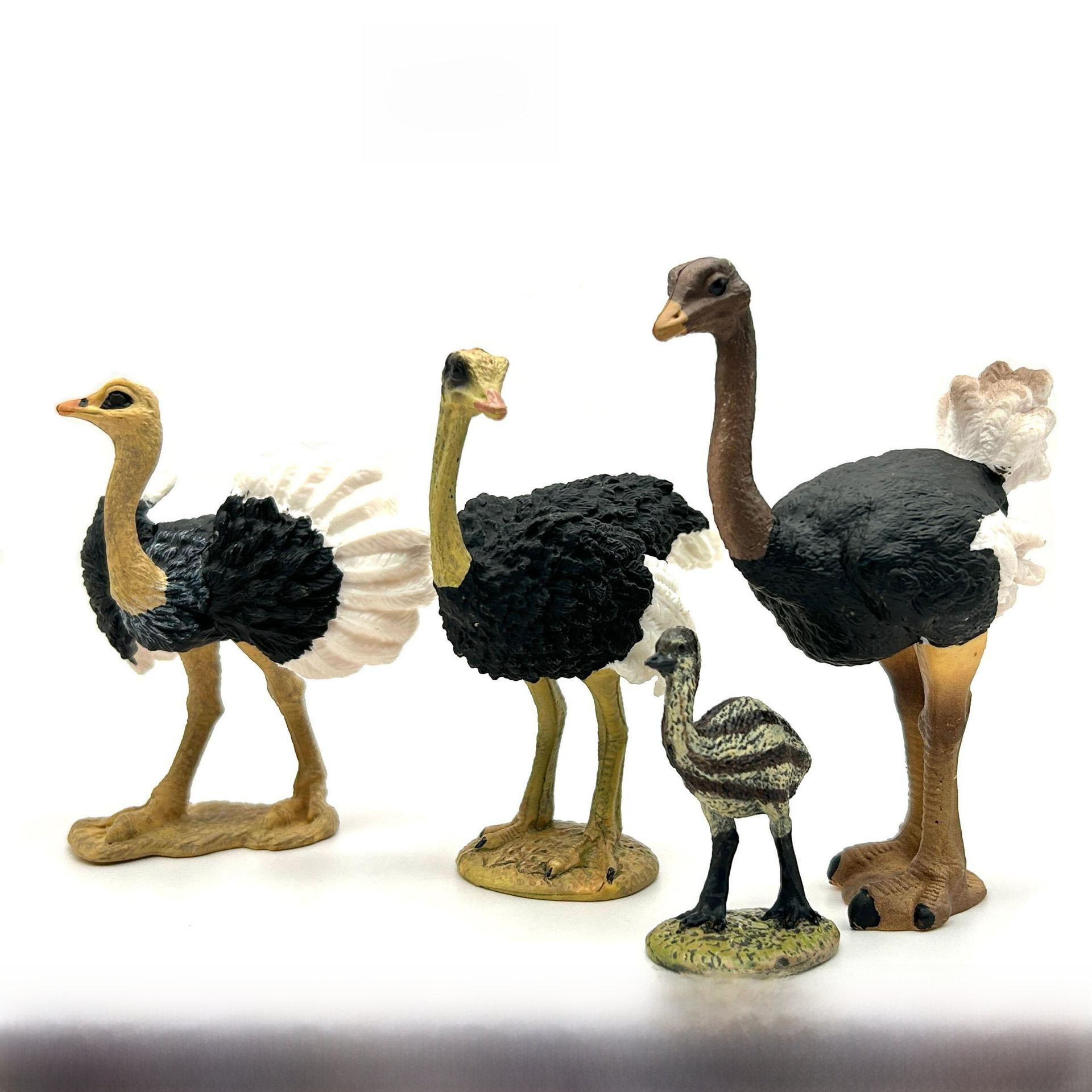 Cross-border wildlife simulation ostrich toy model African ostrich ...
