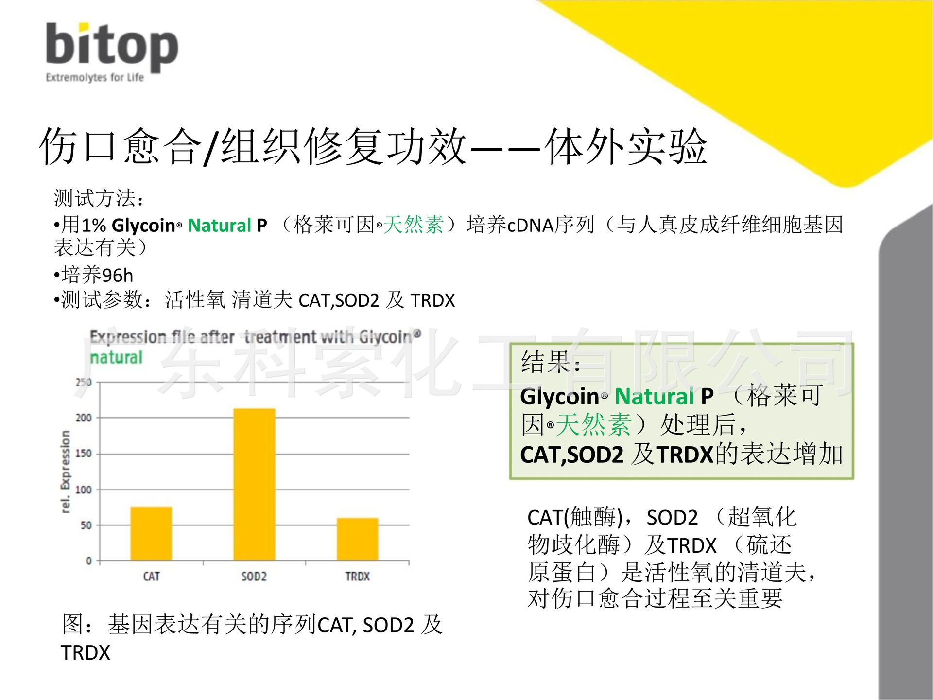 Glycoin格莱可因 德国Bitop 甘油葡糖苷 不死草提取物-阿里巴巴