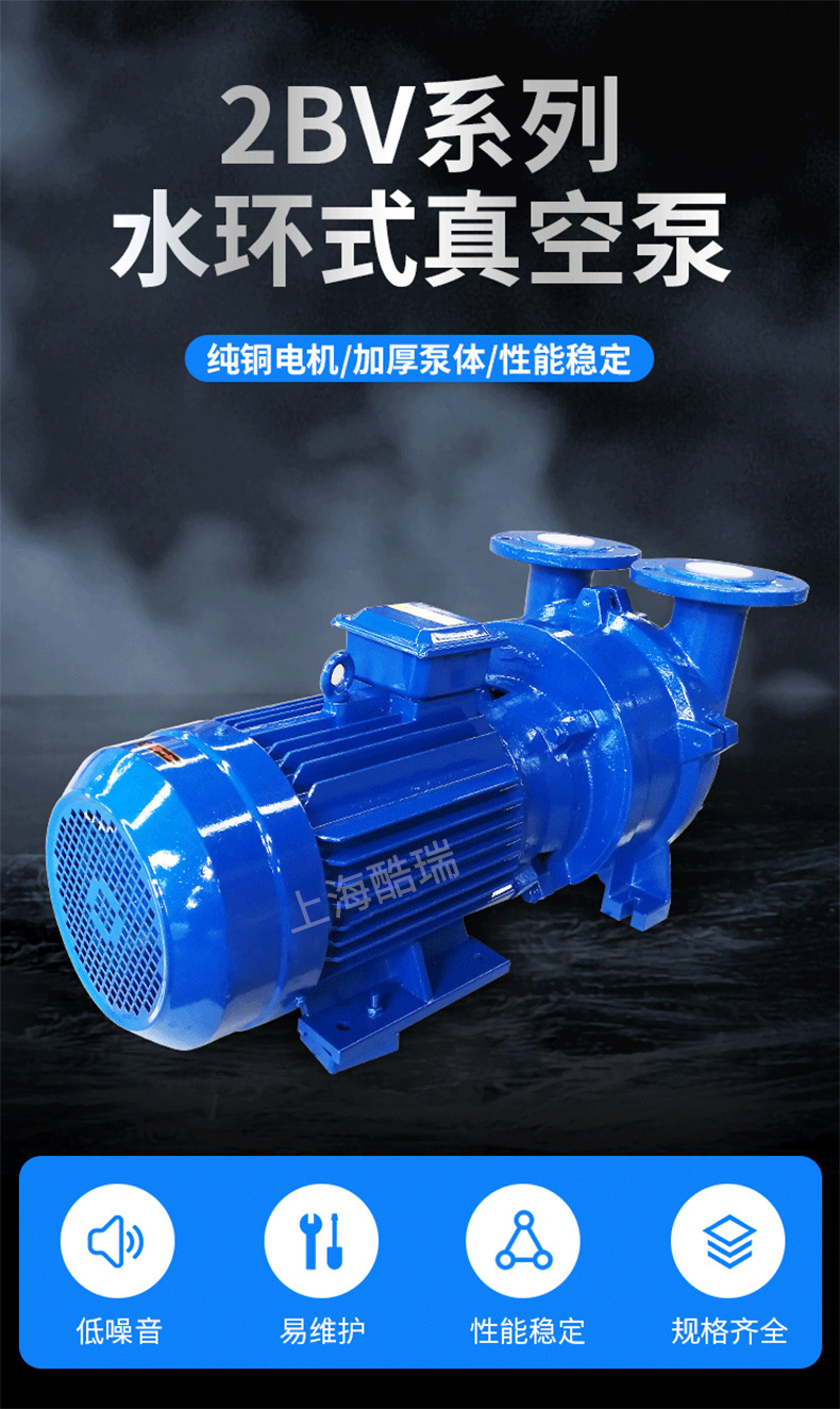 2BV水环式抽气真空泵 2BV2061 SKA气体泵 液环式水环真空泵-阿里巴巴