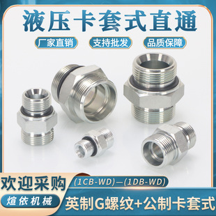 液压接头1CB轻型重型1DB公制卡套H型24°锥ED圈密封G螺纹英制直通-阿里巴巴