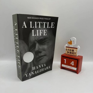 小生活 英文版书 A Little Life 渺小一生 英文版原版小说 布克-阿里巴巴