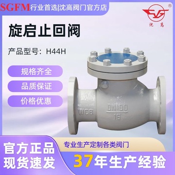导热蒸汽单向阀油 H44H-16C旋启止回阀铸钢高温式逆止回DN200 600-阿里巴巴