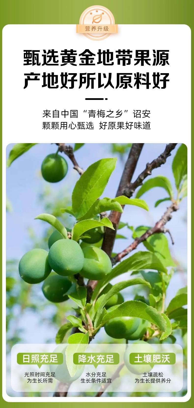 【独立包装】陈皮青梅抱葡萄108g/袋蜜饯果干解馋酸甜孕妇零食-阿里巴巴