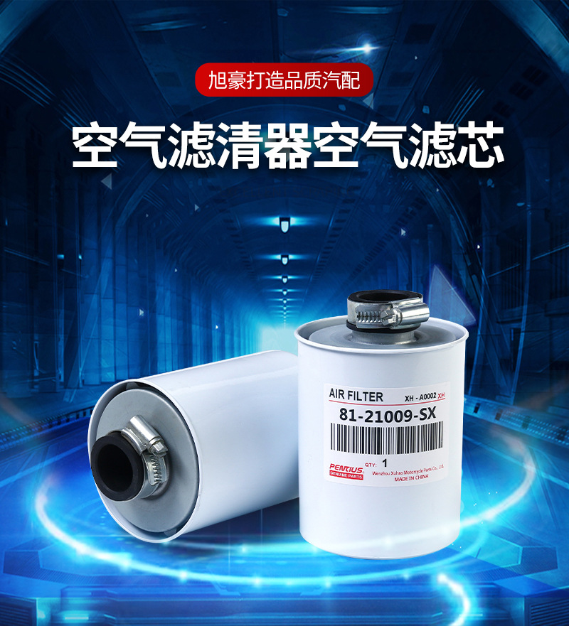 AIR FILTER 汽车空气滤清器 8152010 空滤 81-21009-SX 空气格-阿里巴巴