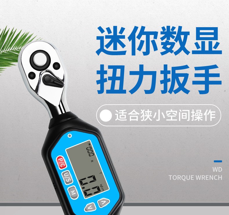 HEMUELE禾木迷你型数显扭矩扳手ZWM汽车维修测螺丝拧紧力扭力扳子-阿里巴巴