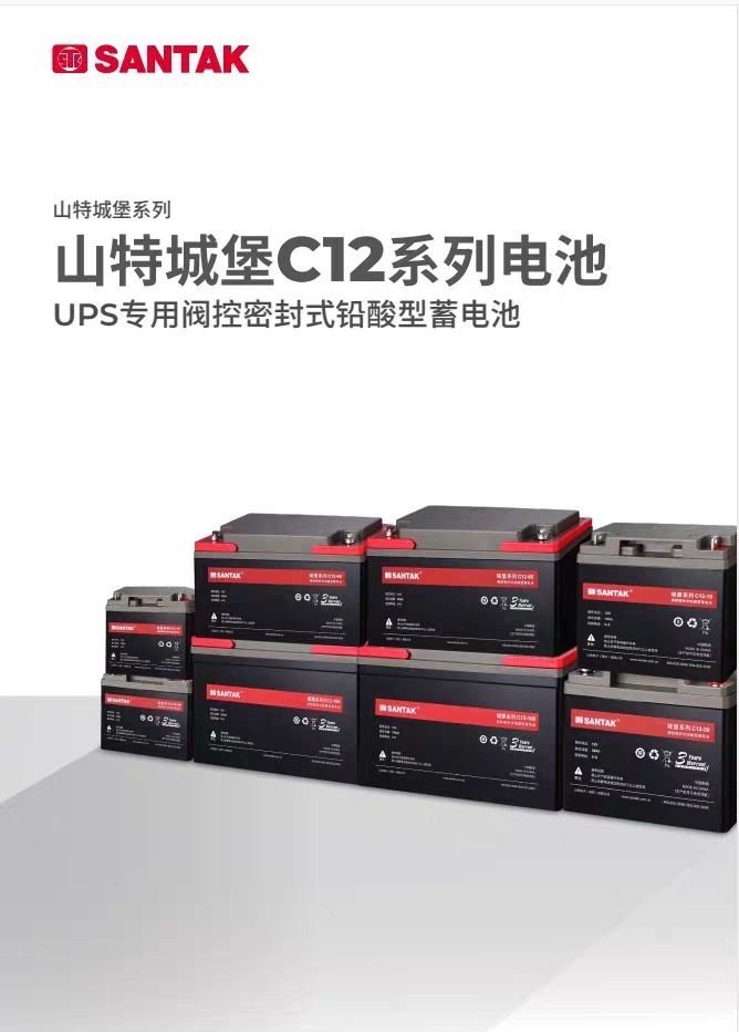 山特UPS蓄电池12V100AH C12-100铅酸免维护机房直流屏UPS电源专用-阿里巴巴