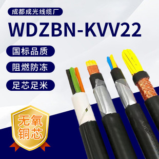 WDZBN-KVV22/WDZBN-RYYP低烟无卤阻燃控制电缆厂价批发-阿里巴巴