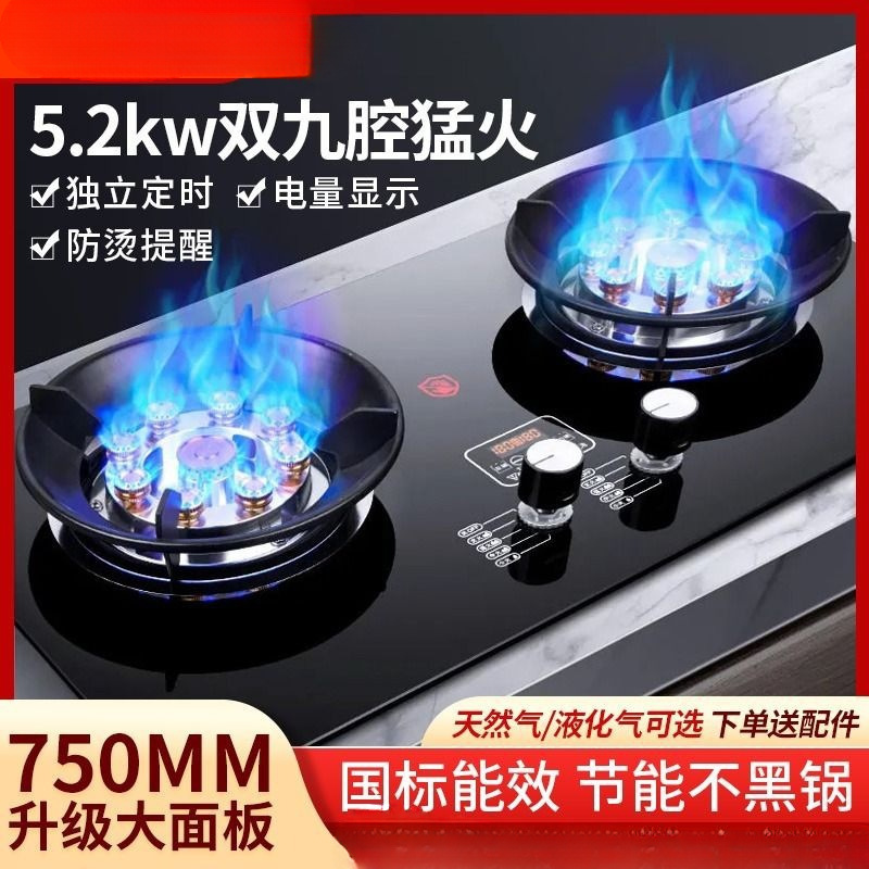 Gas Stove Double Stove Household Natural Gas Stove Embedded Liquefied ...