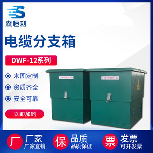 电缆分支箱双开门高压欧式10kv不锈钢户外分接箱铁DFW-12系列-阿里巴巴