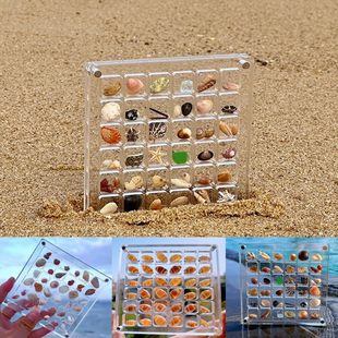 独立站新款 Seashell Display Box 亚克力磁性贝壳展示盒-阿里巴巴