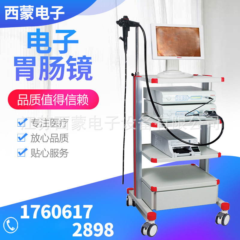 Electronic Gastroscopy Image Processing Device High Definition ...