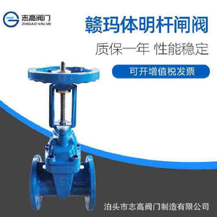 厂家销售Z41X-16Q球墨铸铁法兰软密封闸阀赣玛体明杆DN300锁闭-阿里巴巴