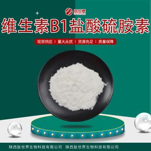 99%维生素B1盐酸硫胺素 现货VB1营养增补剂维生素B1盐酸硫胺素-阿里巴巴