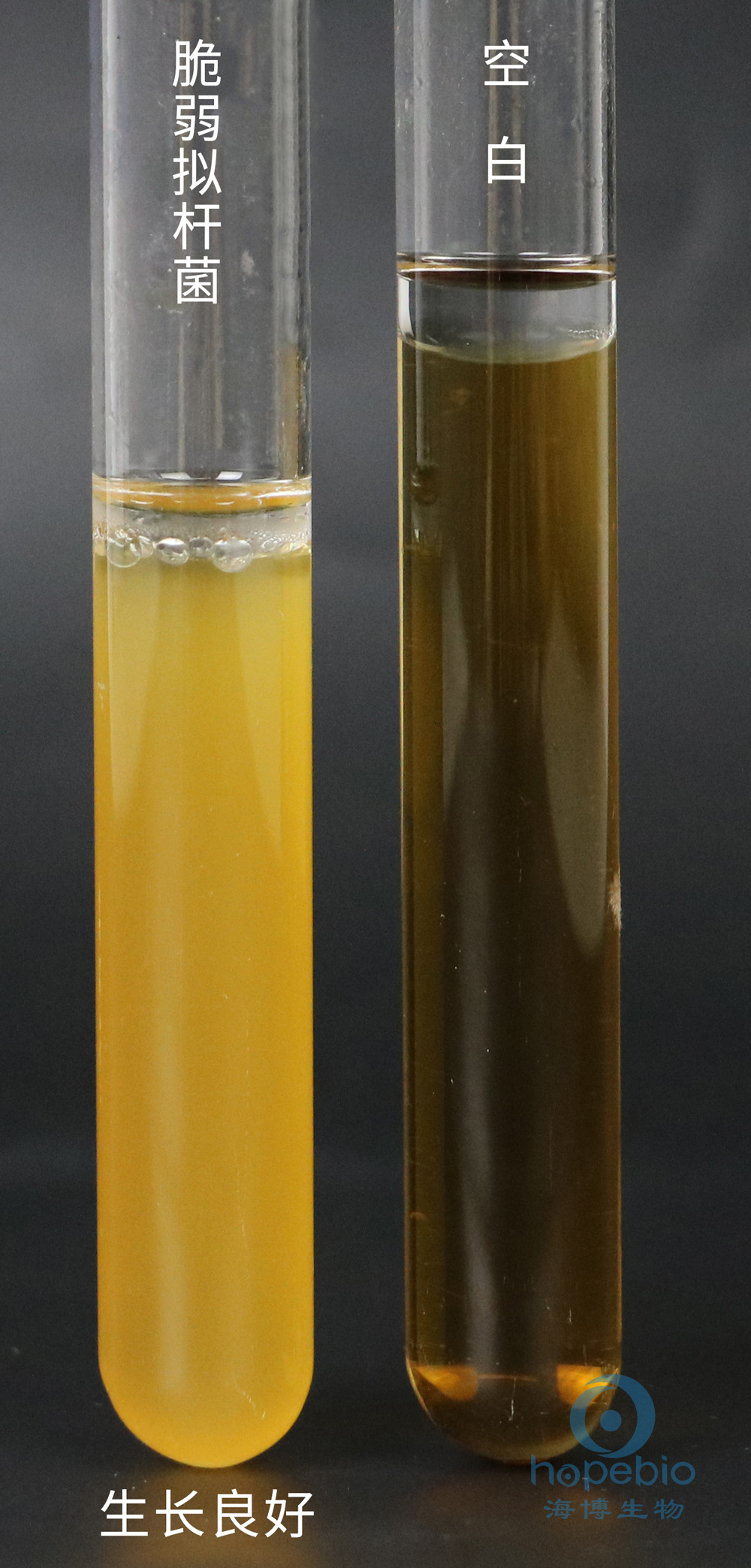 改良GAM培养基Gifu Anaerobic Medium,Modified HB8518-3 250g-阿里巴巴