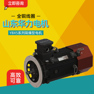 山东华力电机YBX5系列高效率隔爆型三相异步电动机厂家直供-阿里巴巴