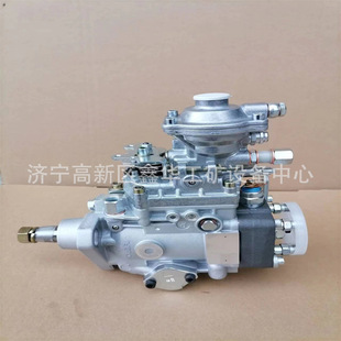 专业销售发动机VE泵总成22100-1C461 221001C461优质现货-阿里巴巴