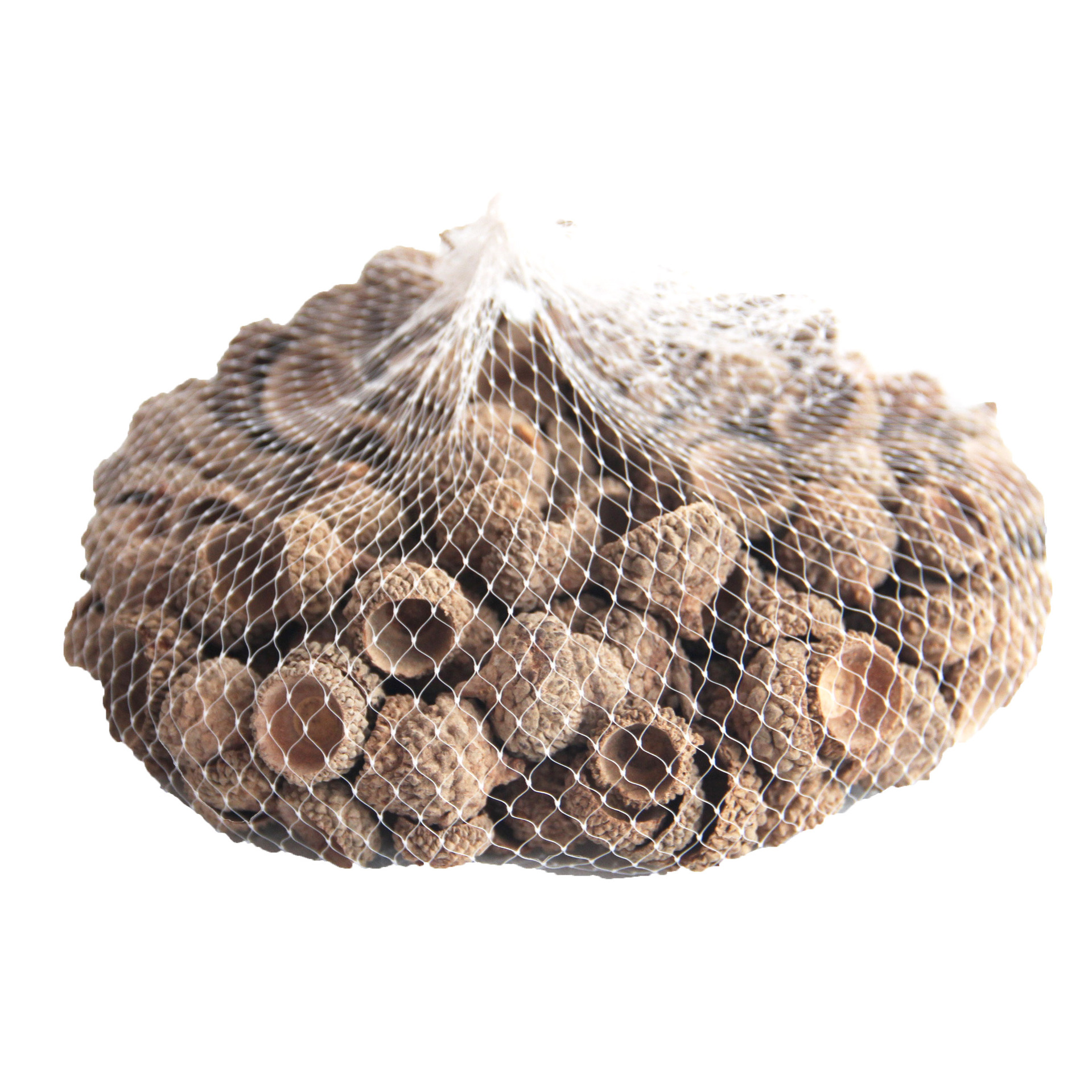 7WLO acorn shell fruit decoration diy handmade kindergarten ...