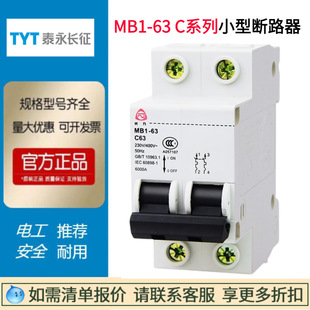 TYT泰永长征MB1-63 1P小型断路器2P空气开关3P4P微断总闸32A50A-阿里巴巴