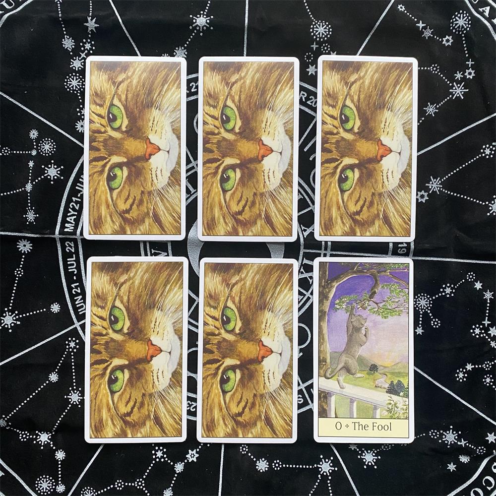 Cat’s eye tarot 猫眼塔罗牌 英文卡牌 纸质说明书 11.3*6.3cm-阿里巴巴