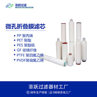 菲跃微孔折叠滤芯 PP聚丙烯PES聚醚砜PTFE PE GF PVDF滤膜过滤芯-阿里巴巴