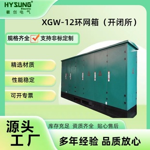 10kV户外高压环网柜XGW-12户外开闭所充气柜带开关电缆分支箱-阿里巴巴